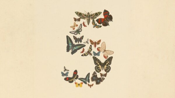 美 정부, 앤트로픽 ‘페이블5·미토스5’ 외국인 접속 차단 – 바이라인네트워크